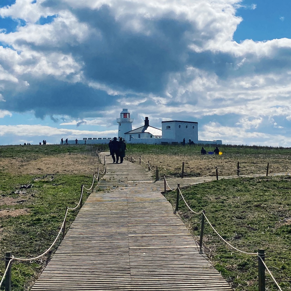 What you need to know before visiting the Farne Islands to spot puffins ...