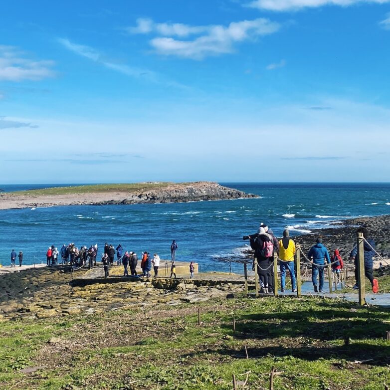 What you need to know before visiting the Farne Islands to spot puffins ...